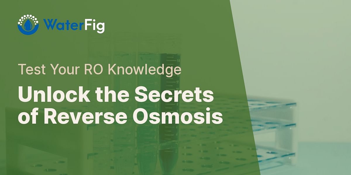 Understanding Reverse Osmosis: Test Your Knowledge | Water Fig Understanding Reverse Osmosis: Test Your Knowledge | Water Fig